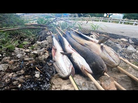 Nasarapan Sila Sa Tuba Ng Nipa At Inihaw Na Isda YouTube