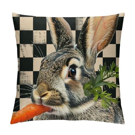 Wuche Easter Pillow Covers Easter Decorations For Farmhouse Spring Home