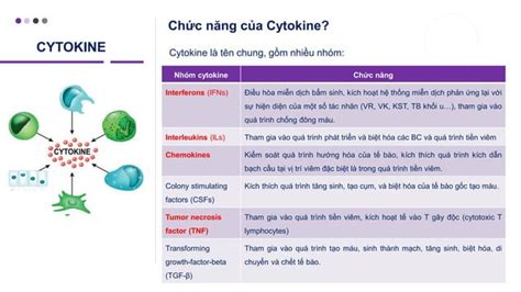 Tài liệu hướng dẫn kỹ thuật lọc máu hấp phụ trong điều trị y khoa pdf