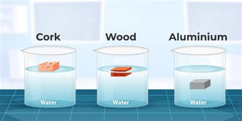 Particulate Inheritance Biology Simple