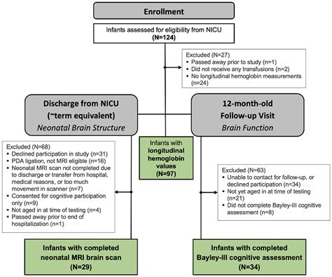 Sex Differences In The Association Of Pre Transfusion Hemoglobin Levels