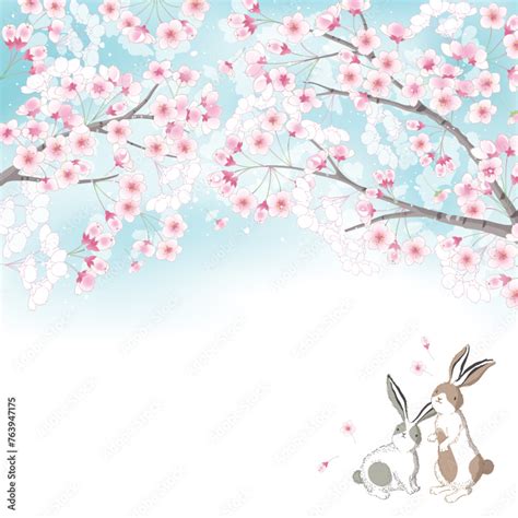 Стоковое векторное изображение «벚꽃과 토끼들이 있는 벡터 템플릿 일러스트레이션 Adobe Stock
