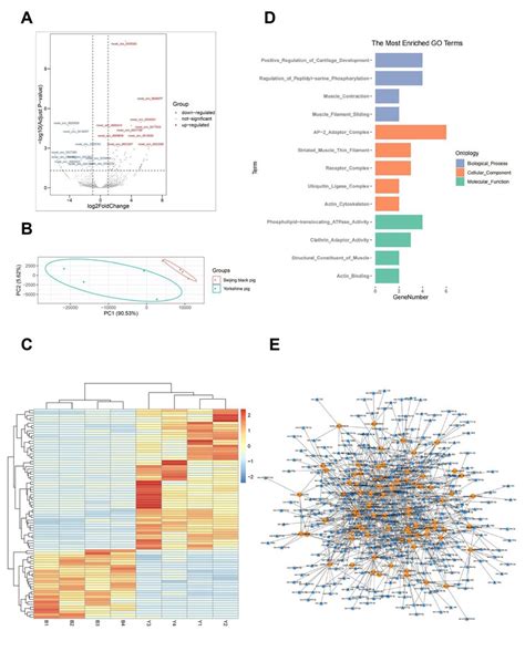 Expression Profiles And Functional Analysis Of Differentially Expressed Download Scientific