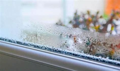 Stop Window Condensation Every Morning With This Simple Washing Up