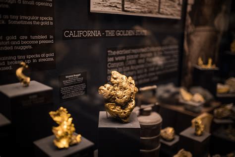 Natural History Museum Of Los Angeles County Review And Tips Travel
