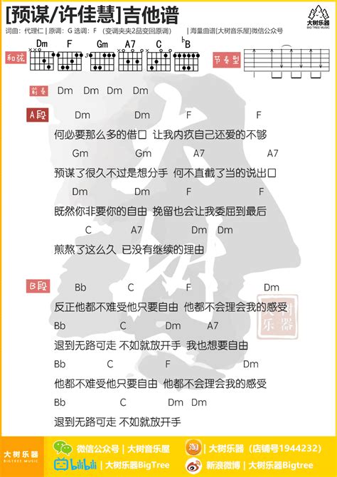 许佳慧 预谋 弹唱 大树乐器 大树音乐 吉他谱