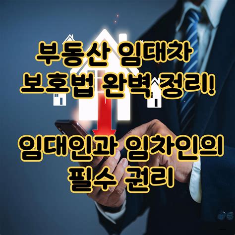 부동산 임대차 보호법 완벽 정리 임대인과 임차인의 필수 권리