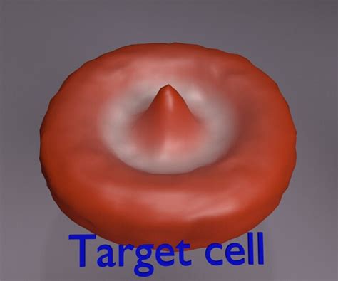 Artstation Rbc Types 3d Model Resources