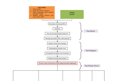 Solution Pathway Systemic Lupus Erythematosus Sle Studypool