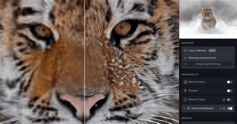 Topaz Photo AI รวม 3 โปรแกรมยอดฮต Denoise AI Sharpen AI Gigapixel AI