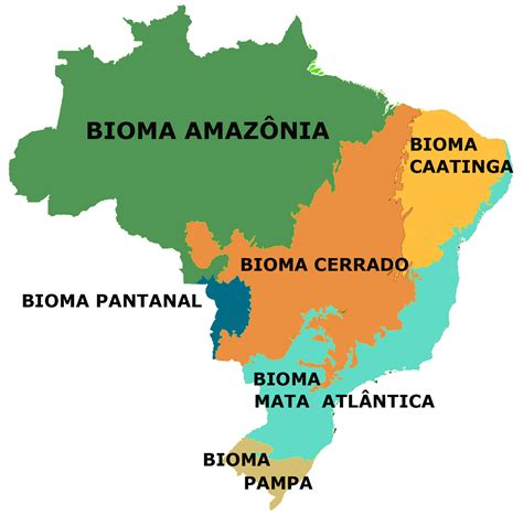 Entenda o que são os biomas e saiba como preservá los