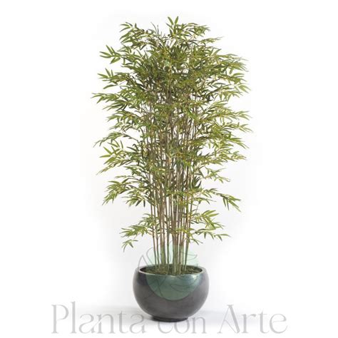 Árbol Bambú Deluxe Artificial Altamente Realista En 215 Cm De Alto