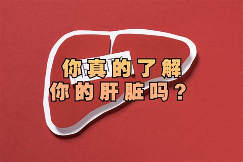 你真的了解你的肝脏吗？ 哔哩哔哩