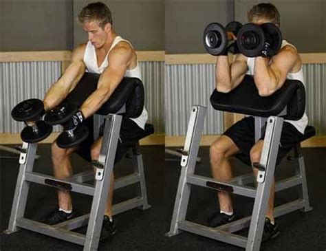 Lista de todos os exercícios de bíceps Biceps and Gym