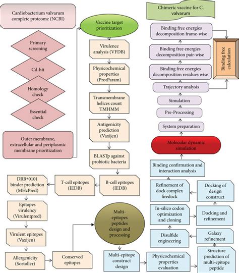 Schematic Representation Of Research Methodology Download Scientific Diagram