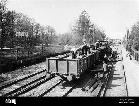 Image Of The Unloading Of Dwarsliggers On The Railway Line Near The N S