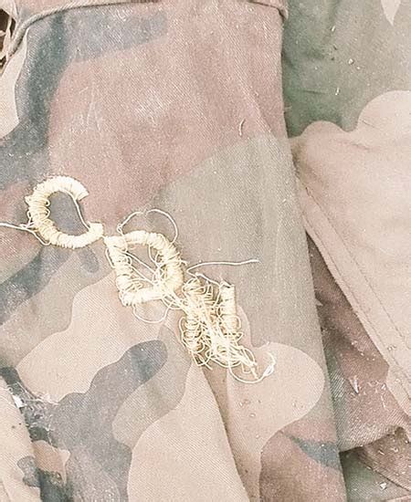 Fotos Sicarios Del Cártel Del Noreste Se Topan Con Militares Y Son