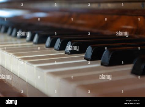 How To Tell Real Ivory Piano Keys At Carolyn Wilson Blog
