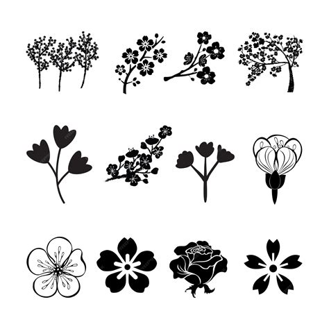Conjunto De Ramas De Ilustración Vectorial Ramas Hojas Y Flores
