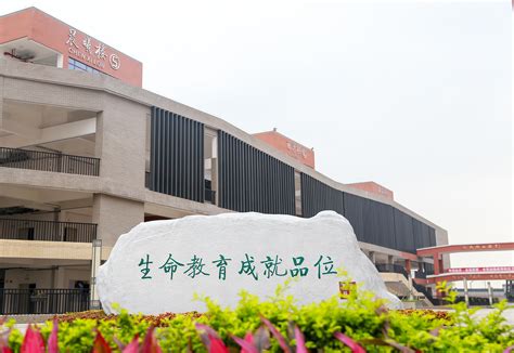 顺德区京师励耘实验学校京师品牌励耘致胜 知乎