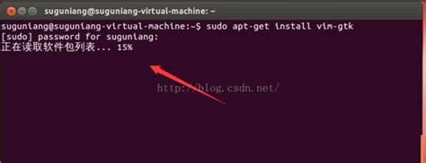 linux怎样判断vim是否安装上 linux系统中vim的安装 csdn博客
