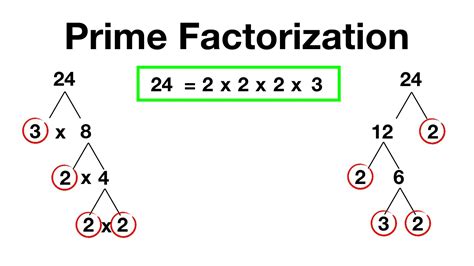 Factor Tree Prime Factorization Calculator