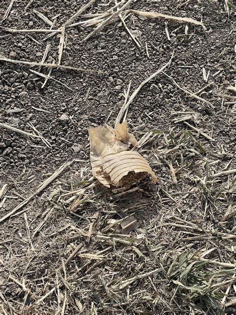 Dirty Plastic On The Ground Stock Image Image Of Garden Farming