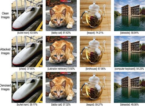 Visual Illustration Of Tiny ImageNet Images Sorted From Top To Bottom