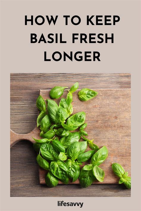 How To Keep Basil Fresh Longer Tips And Tricks
