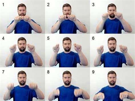 Transcript ASL Dictionary