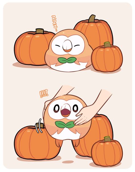 Rowlet Pokemon Drawn By Ikuchi Osutega Danbooru