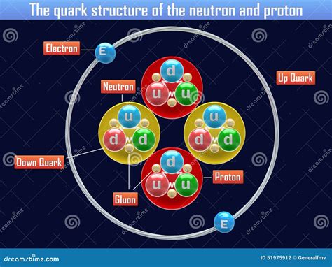 The Quark Structure Of The Neutron And Proton Stock Illustration