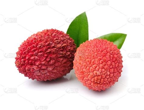 叶甜荔枝果实