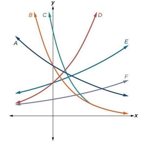 Problem Set 22 Graphs Of Exponential Functions Precalculus