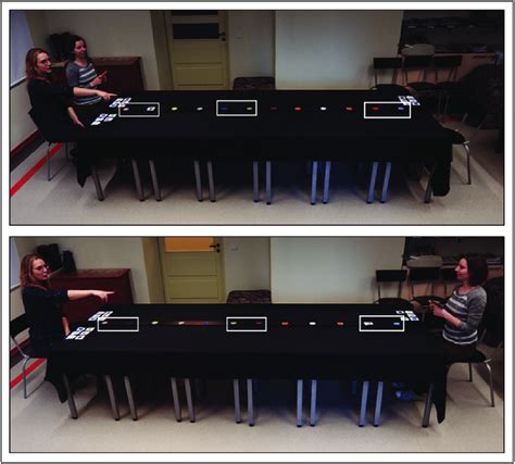 Set Up Of The Experiment Upper Panel Experimenter Holding