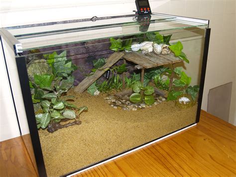 Hermit Crab Cage Hermit Crab Homes Hermit Crab Habitat Hermit