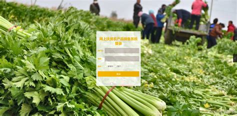 Ssm毕设网上扶贫农产品销售系统程序论文 Csdn博客