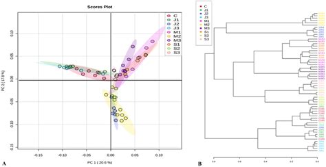 a principal component analysis pca and b hierarchical cluster