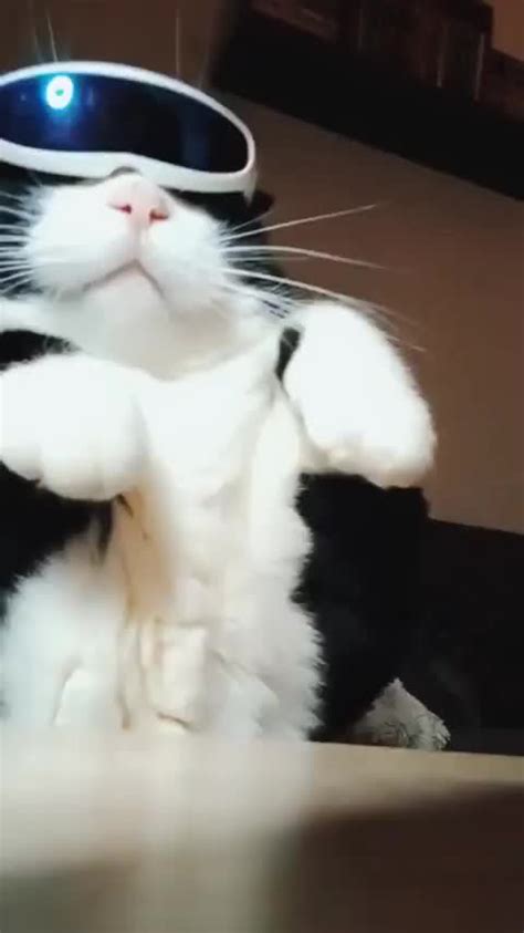 Keep It Awesome Imgur Album On Imgur