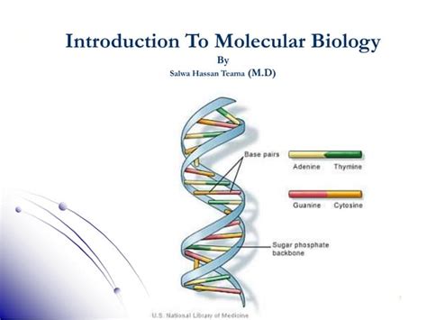 Molecular Biology Introduction Pptx