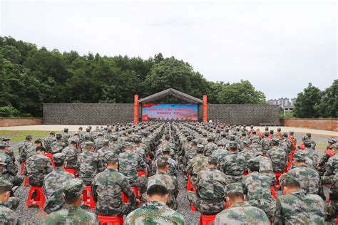 永州市举行民兵工作“三落实”60周年民兵活动日暨市级领导过“军事日”活动陈爱林建设后备力量