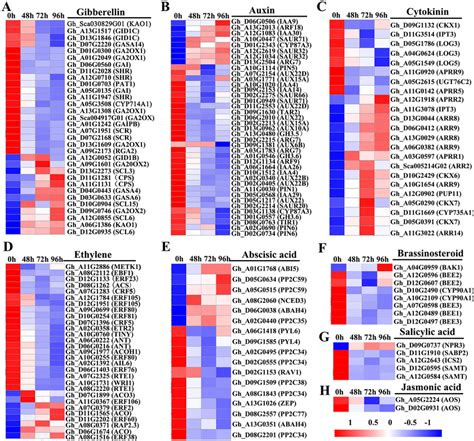 Heatmap Of Differentially Expressed Genes Involved In Plant Hormone