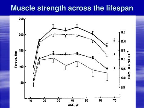 Ppt Muscle Mass And Strength Powerpoint Presentation Free Download Id4447002