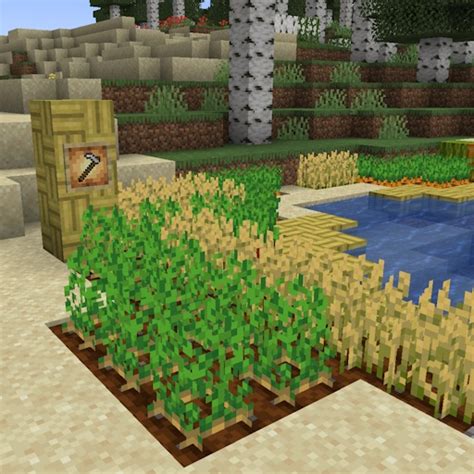 Hoes Need Love Too Minecraft Data Pack