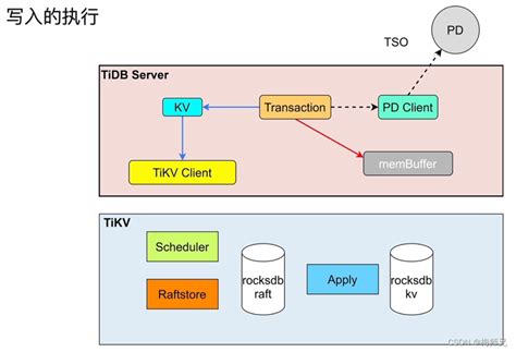 Pcta 认证考试学习笔记分享——《lesson 05—tidb 数据库 Sql 执行流程》pcta数据库 Csdn博客