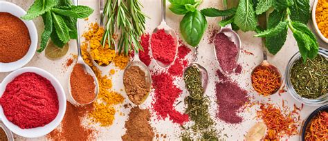 요리용 다채로운 허브와 향신료 심황 딜 파프리카 계피 사프란 바질 및 로즈마리를 숟가락으로 인도 향신료 밝은 갈색 돌 배경에 배너 맨 위 보기입니다 가루로 빻은에 대한 스톡