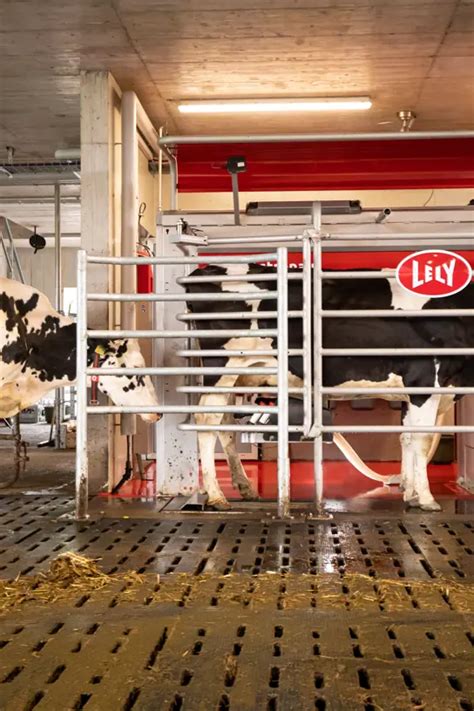 Concept Of Robotic Milking
