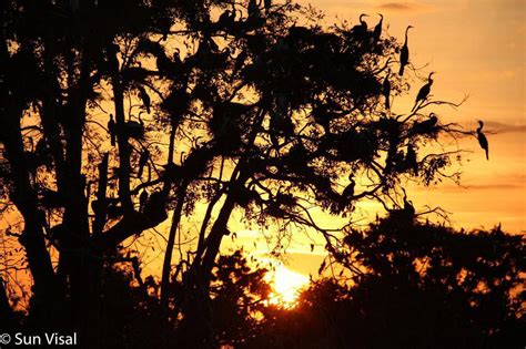 ហតអវបនជបងទនលសបតរវបនចតទកជ ឋបនយជវមណឌល Khmerhome