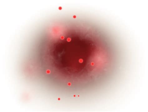 Great Dracophage Bug Great Dracophage Bug