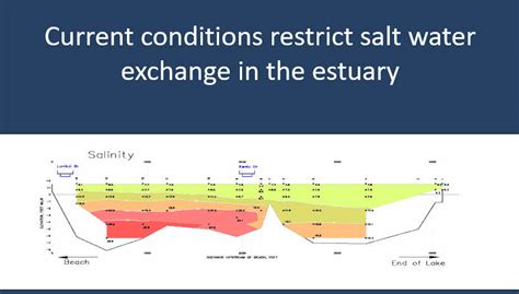 Current Cross Section Lake Salinity 2 Kaelepulu Pond Elra